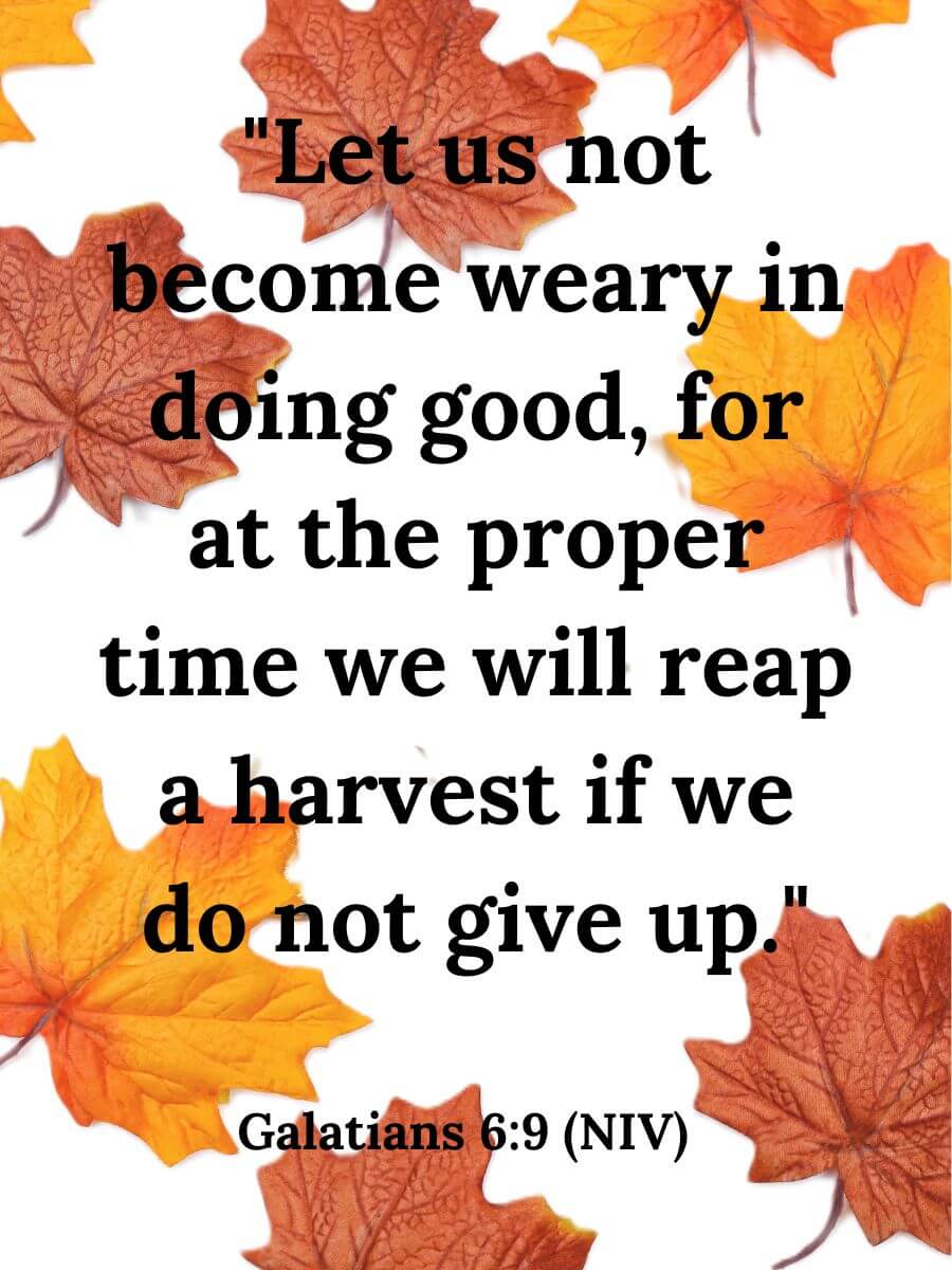 Harvesting Thankfulness: 20 Bible Verses for Thanksgiving and Autumn ...